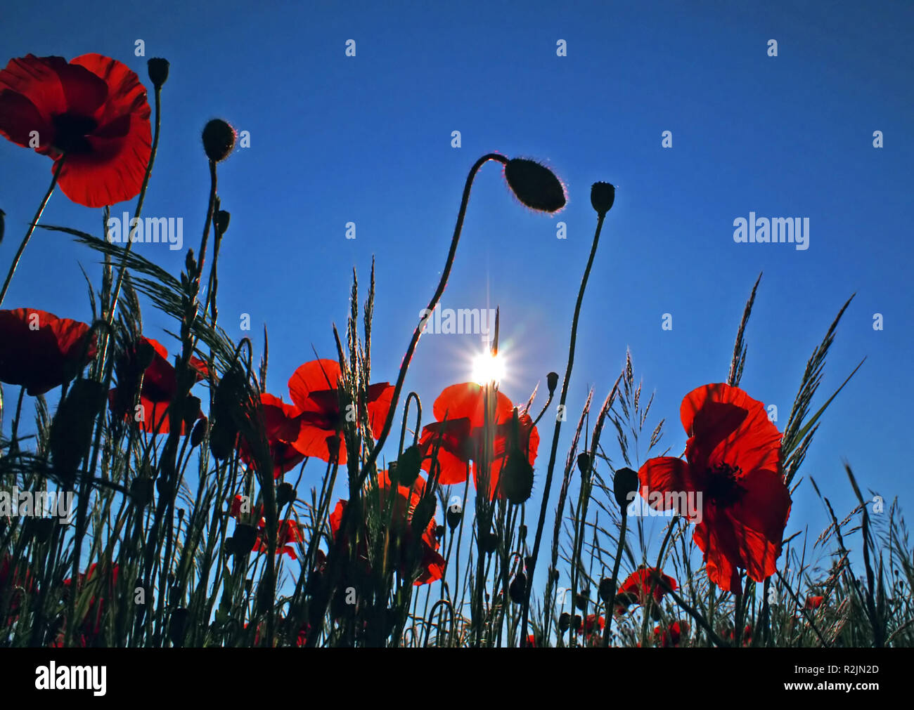Ten acre field hi-res stock photography and images - Alamy