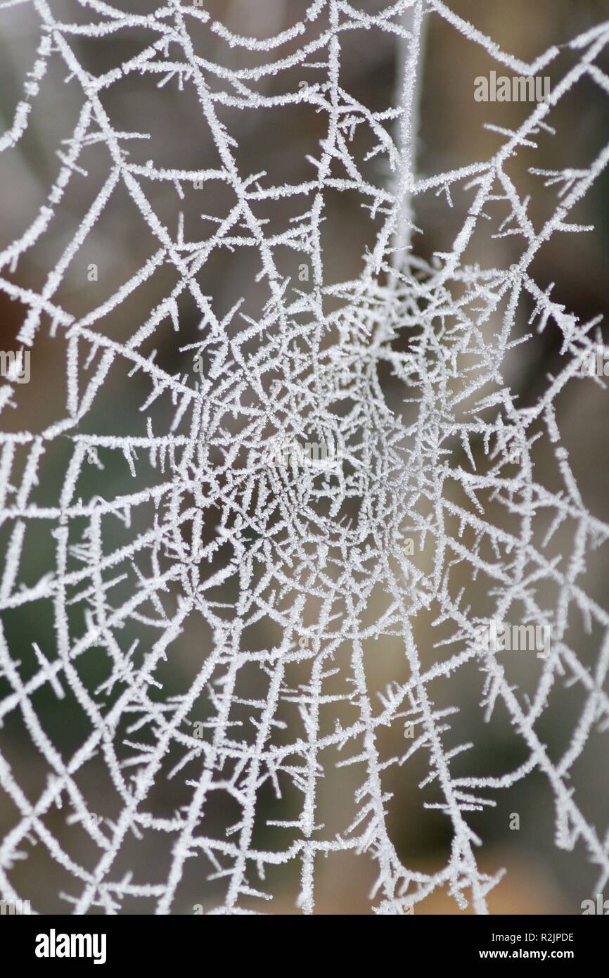 Frozen threads hi-res stock photography and images - Alamy