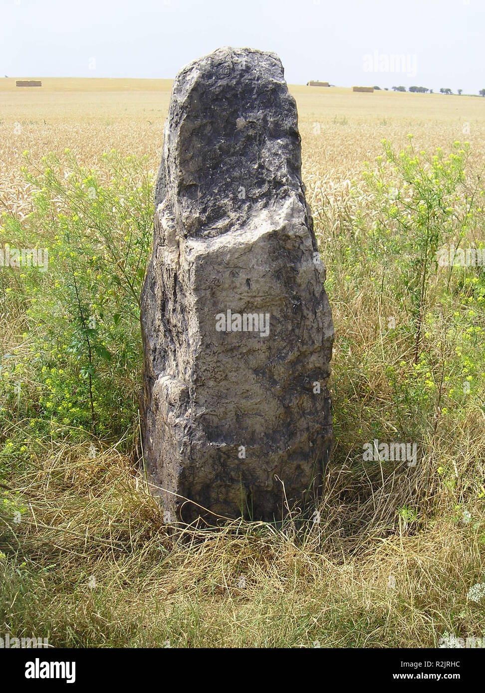menhir (long stone Stock Photo - Alamy