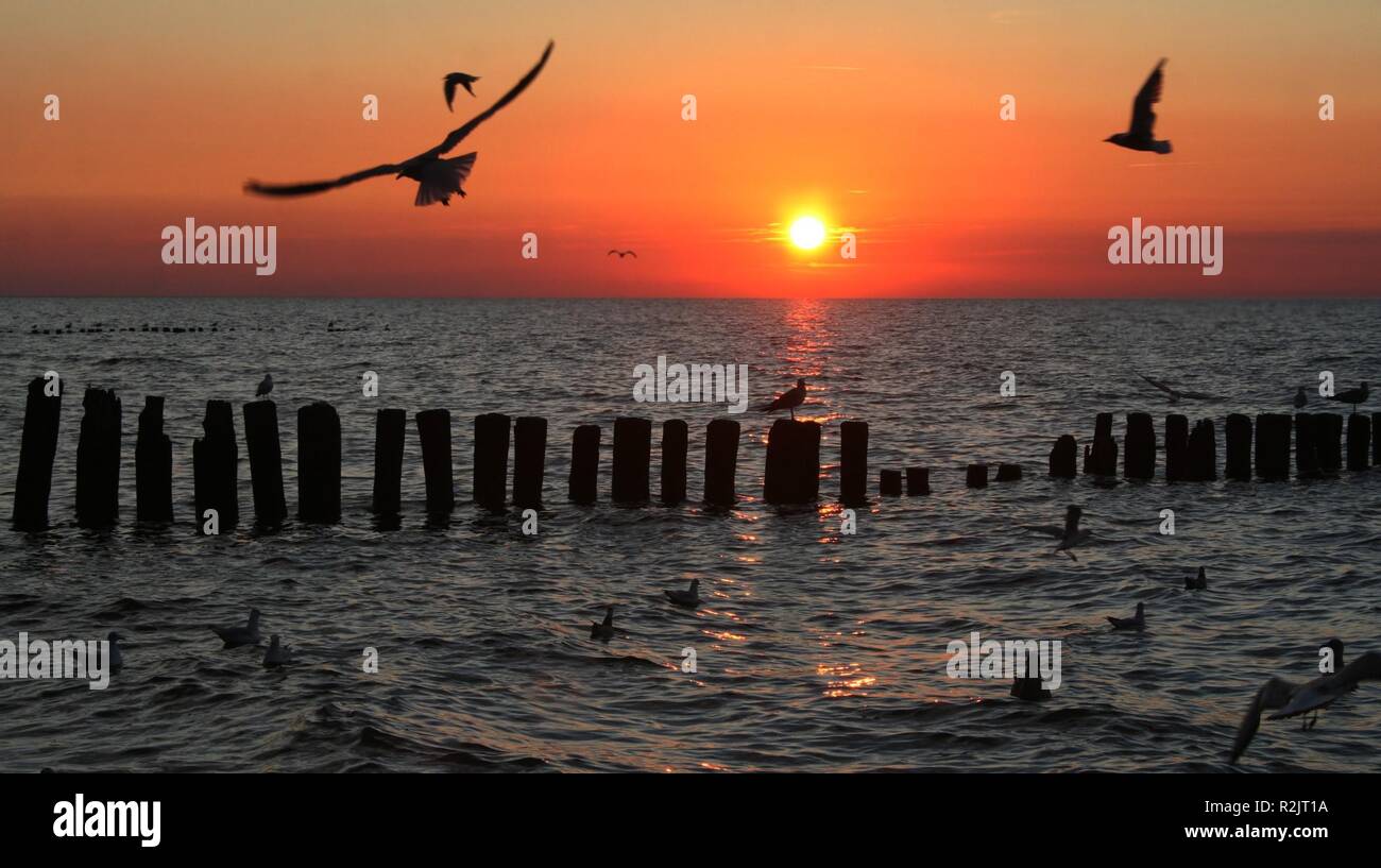 Downfall mood hi-res stock photography and images - Alamy