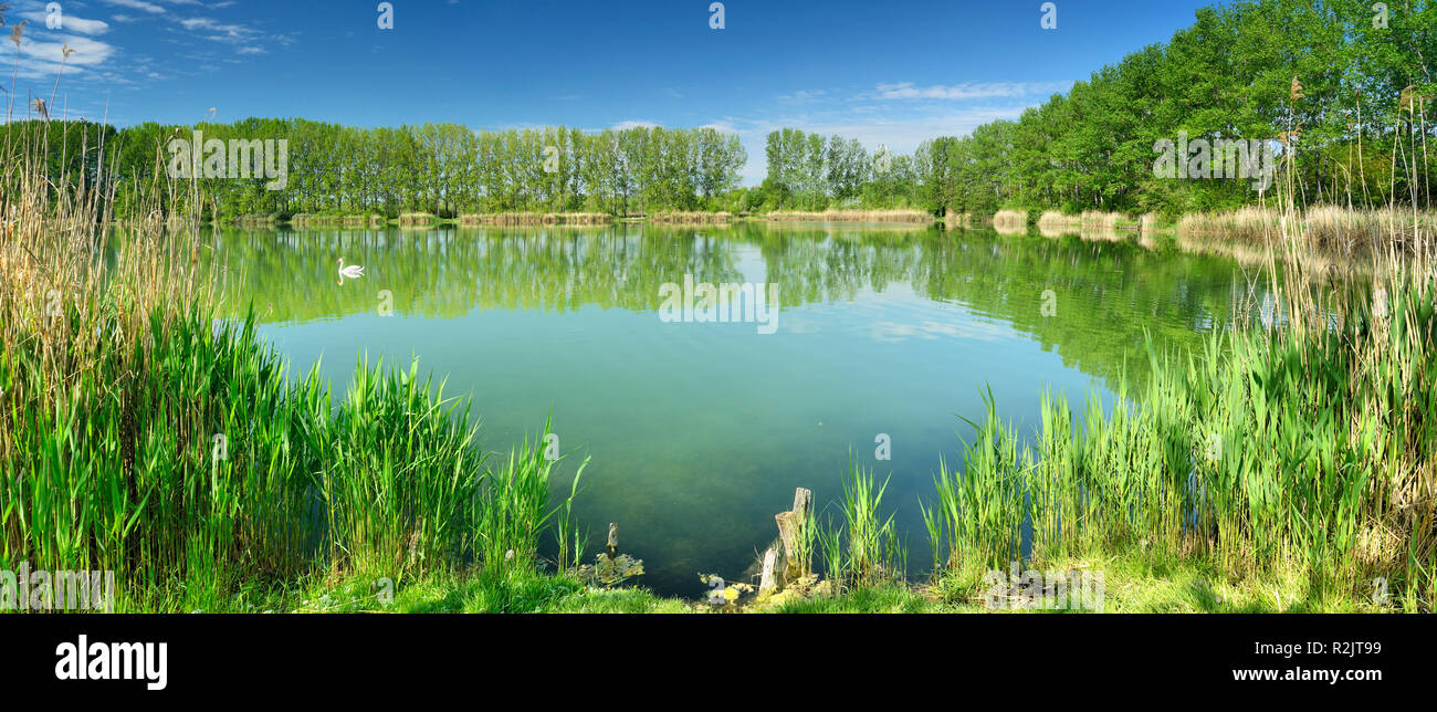 Germany, Thuringia, Herbsleben, nature reserve Herbslebener ponds, pond ...