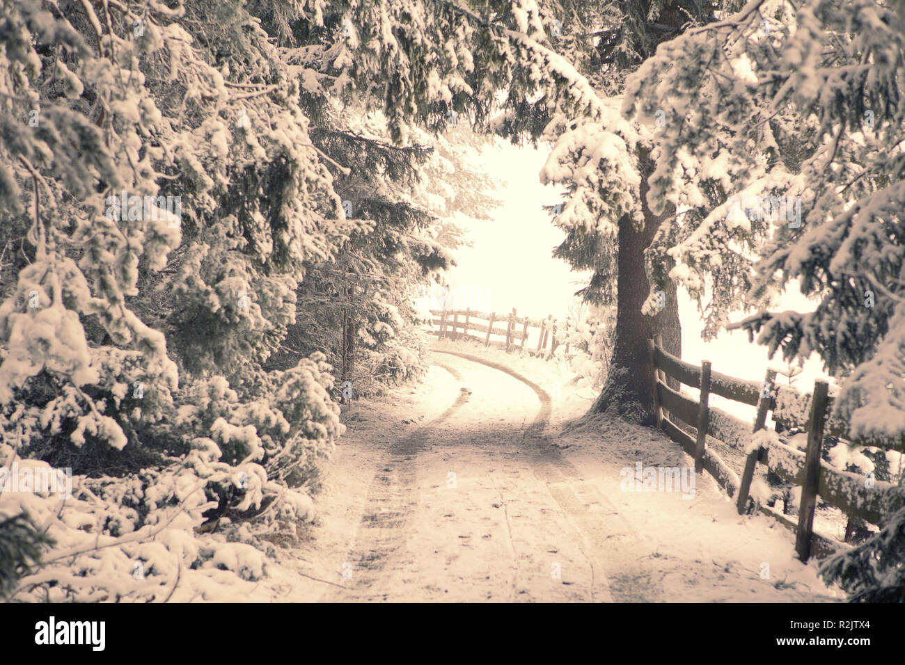 Path with fence hi-res stock photography and images - Alamy
