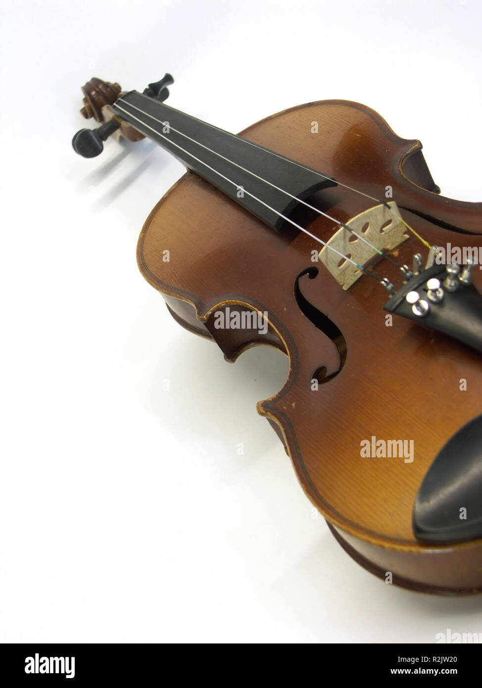 Violin snail hi-res stock photography and images - Alamy