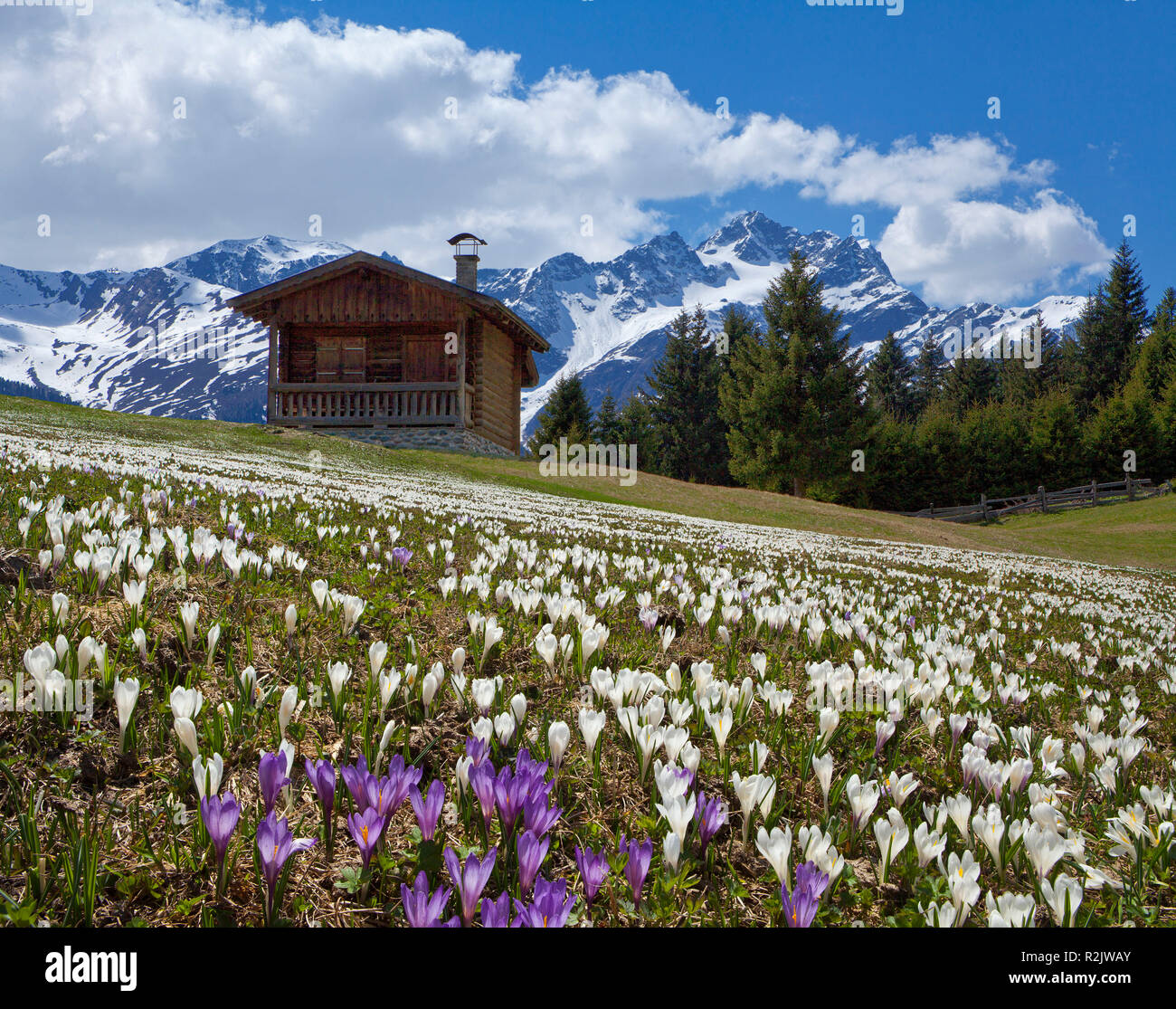 Austria tyrol strengen arlberg mountains hi-res stock photography and ...