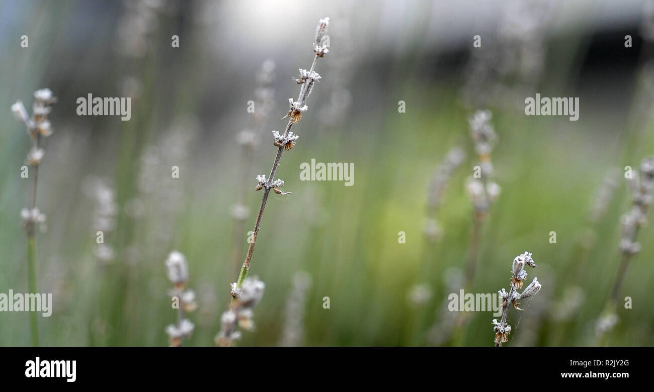 Expended hi-res stock photography and images - Alamy