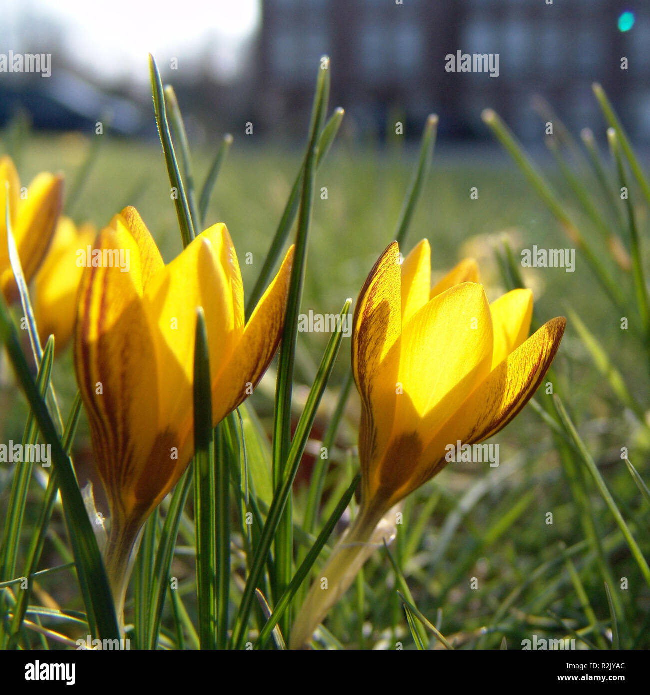 Left light hi-res stock photography and images - Alamy