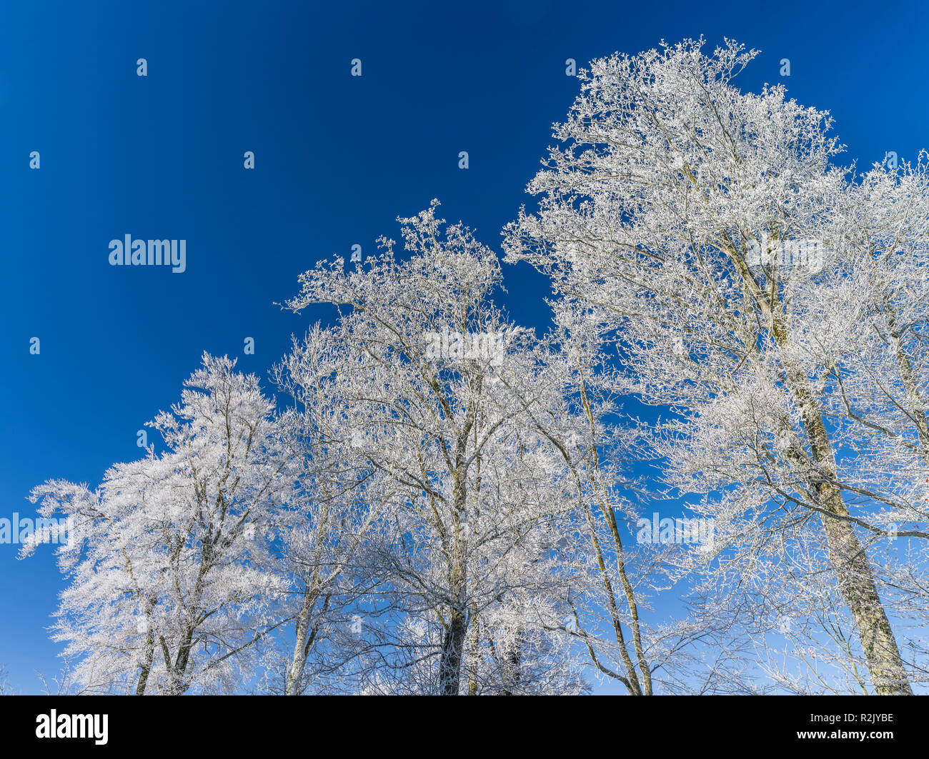 Snowy landscape bright blue sky hi-res stock photography and images - Alamy
