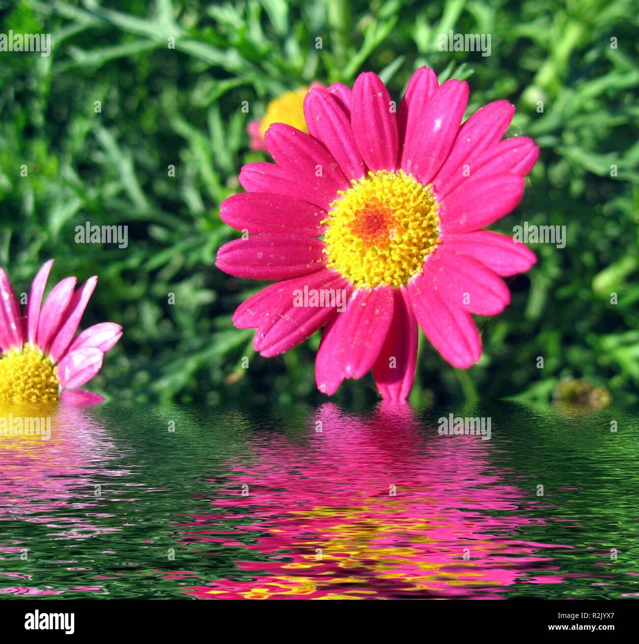 just for fun no. 4 Stock Photo - Alamy