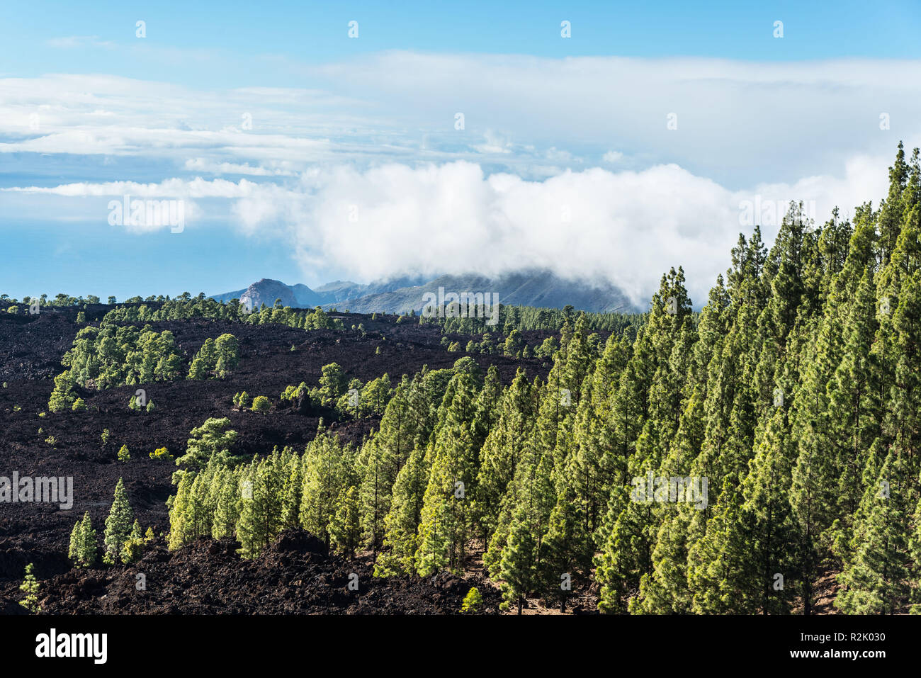 Low lying landscape hi-res stock photography and images - Alamy