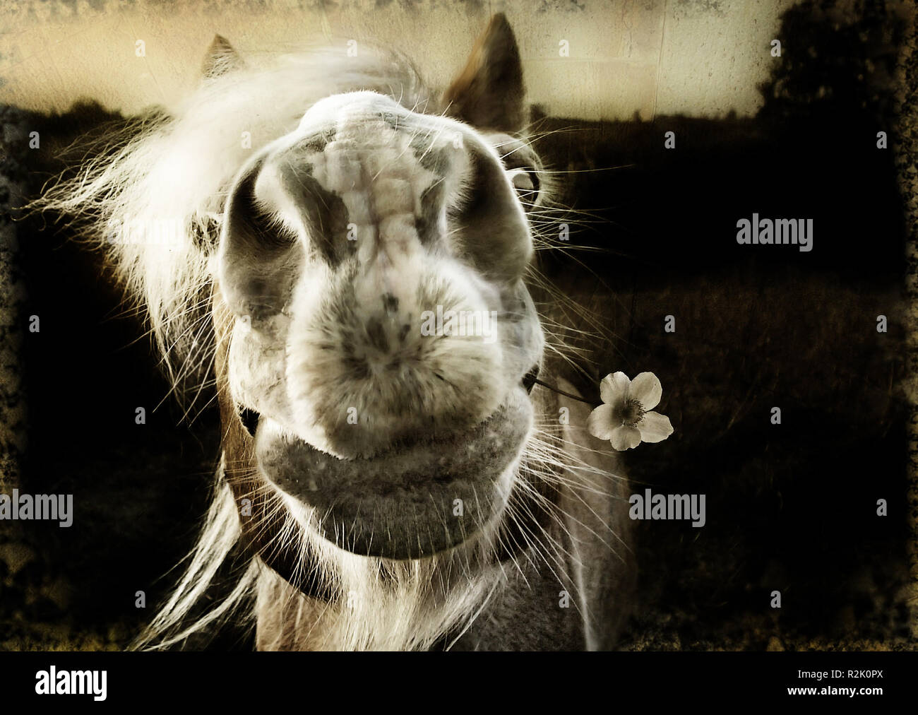 only for you Stock Photo - Alamy