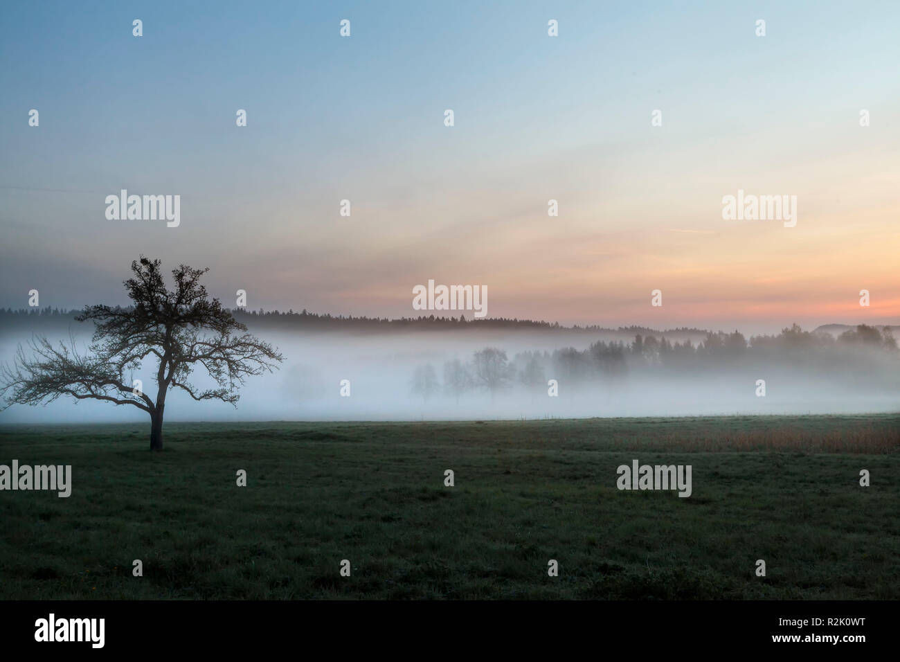 Mist in the landscape hi-res stock photography and images - Alamy