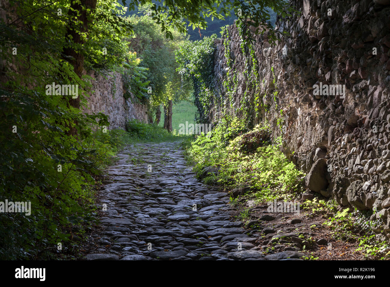 Way to the Trostburg castle Stock Photo - Alamy
