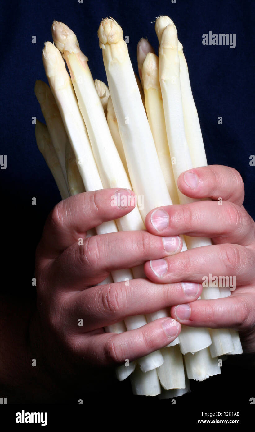 Pale central bar hi-res stock photography and images - Alamy