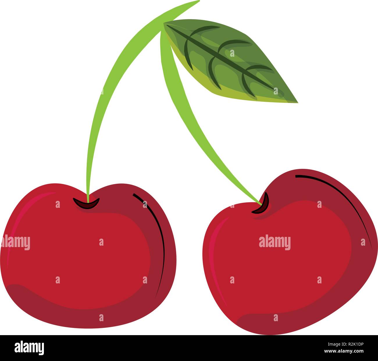 Sweet cherries fruit vector illustration graphic design Stock Vector ...