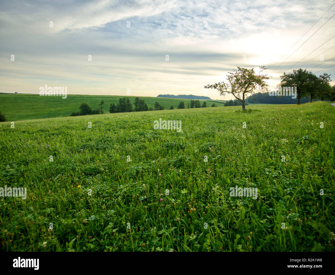 Late summer fields hi-res stock photography and images - Alamy