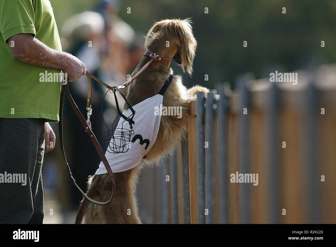 the lust for speed Stock Photo - Alamy