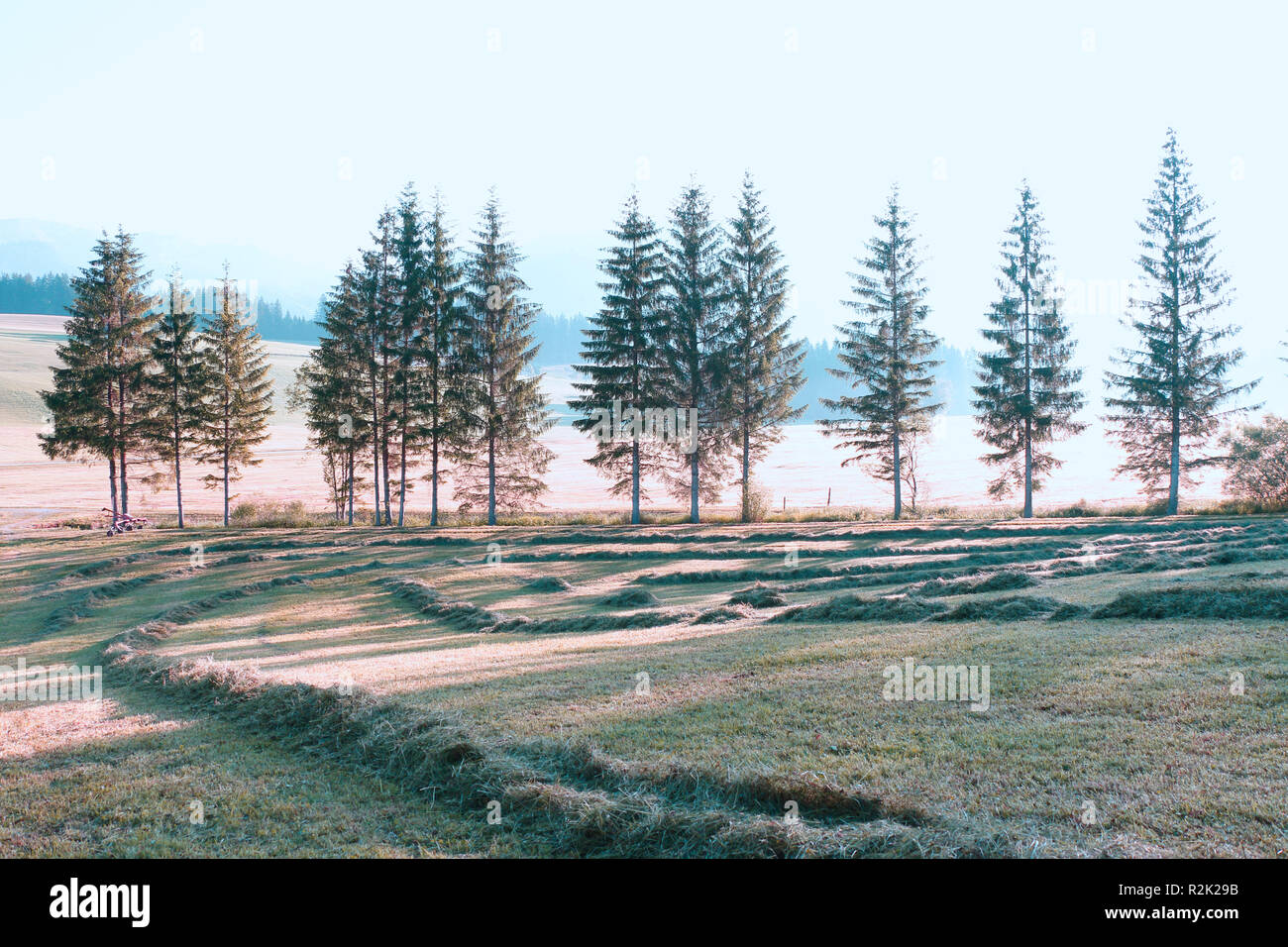 Sunrise on a hay meadow Stock Photo - Alamy