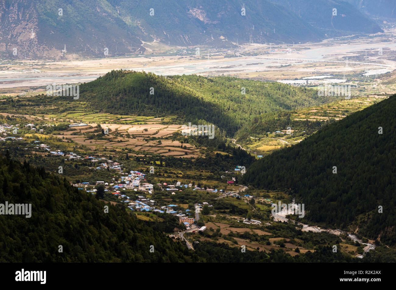 the Lulang forest Stock Photo - Alamy