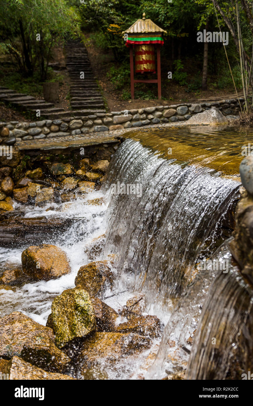 Kading forest hi-res stock photography and images - Alamy