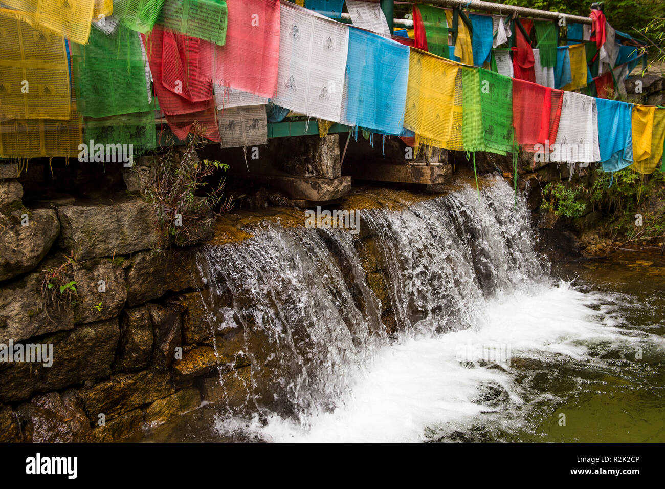 the Kading forest Stock Photo - Alamy