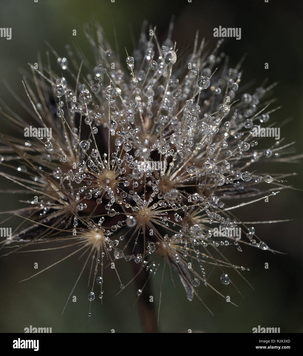 Sommerherbst hi-res stock photography and images - Alamy