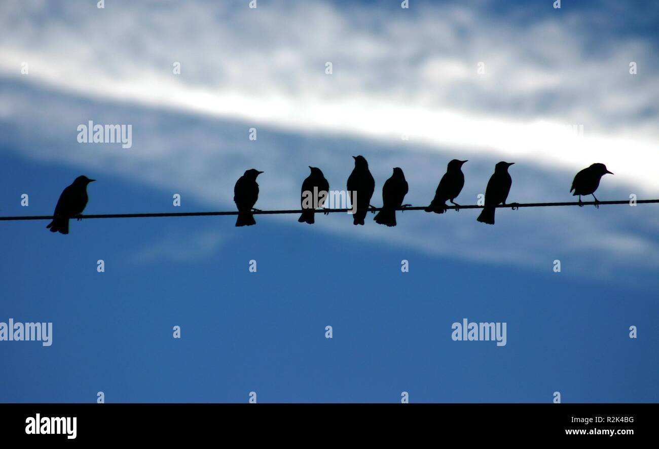 in the first row Stock Photo - Alamy