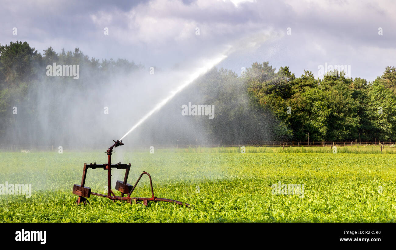 Irrigation system on a large farm field Stock Photo - Alamy