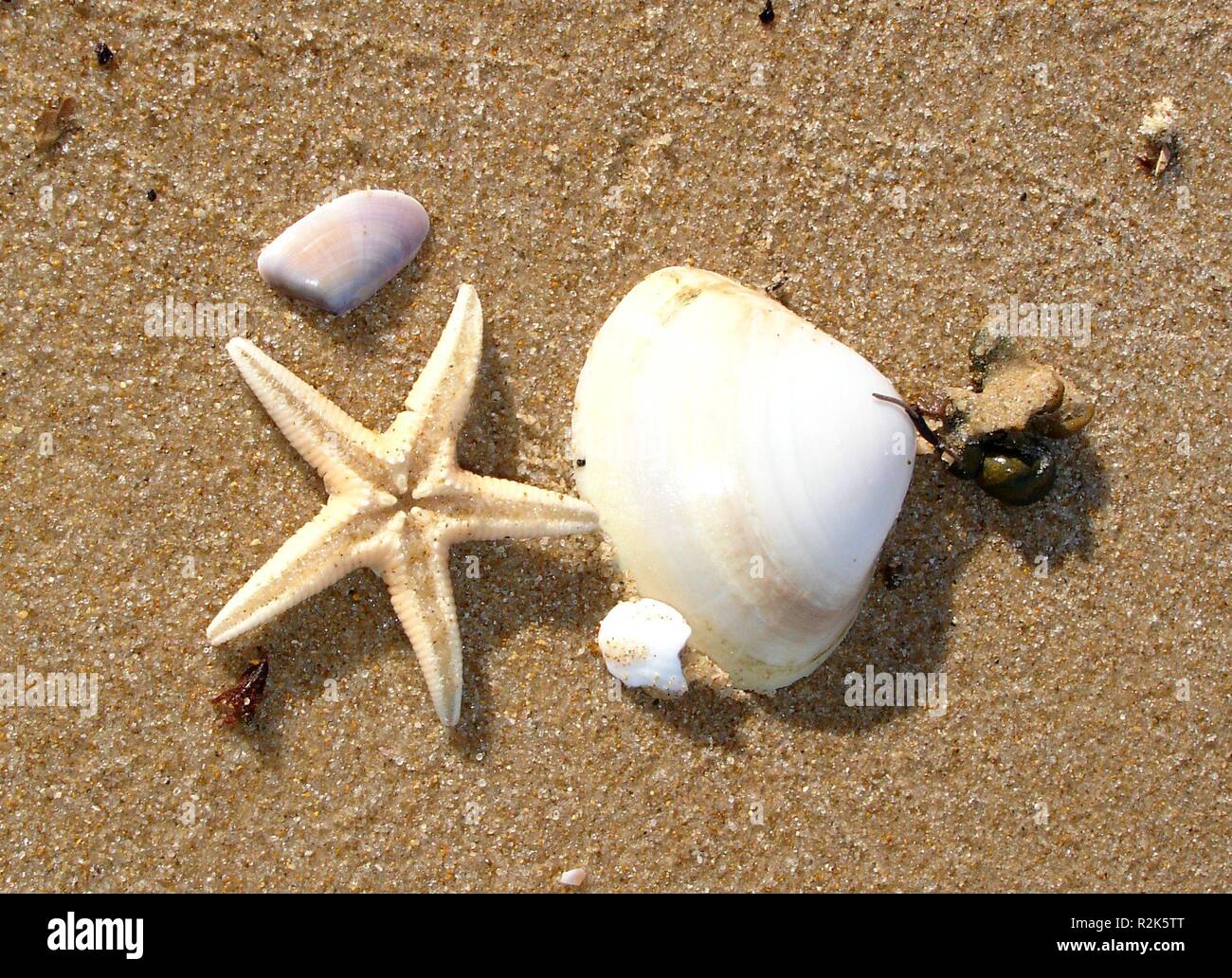 Strandbild hi-res stock photography and images - Alamy