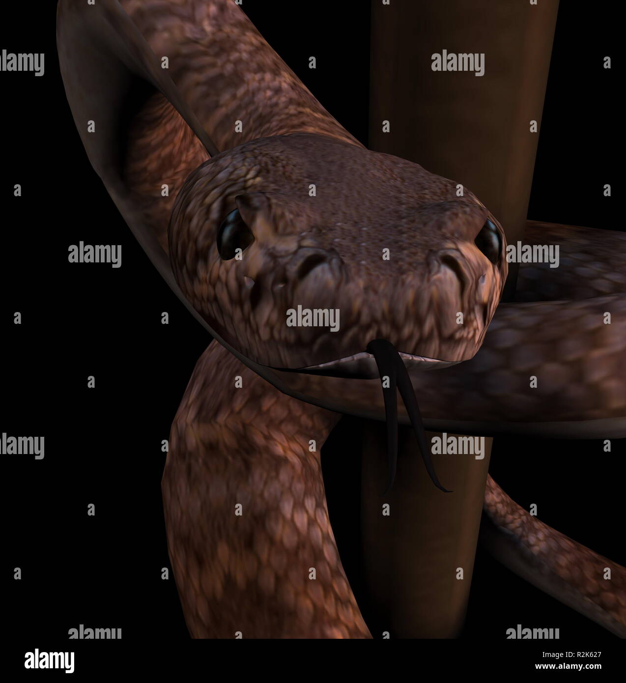 Snake ii hi-res stock photography and images - Alamy