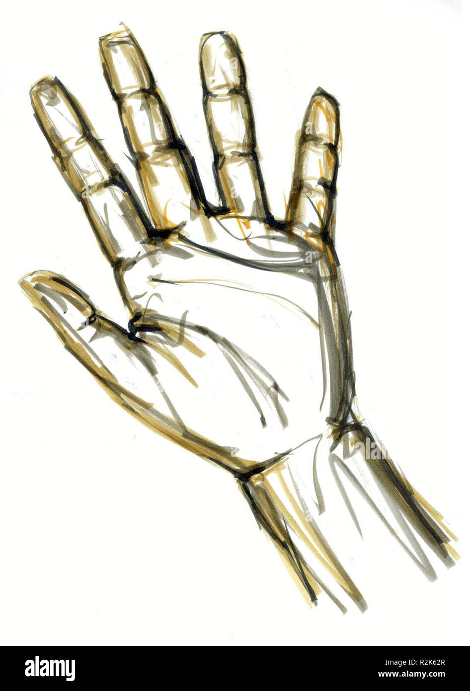 Middle finger left hand Cut Out Stock Images & Pictures - Alamy