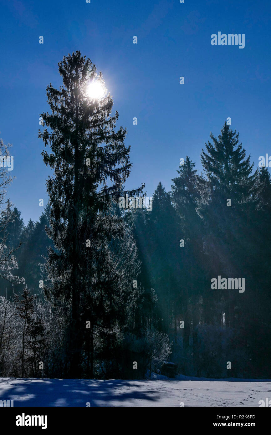 Cold winter sun hi-res stock photography and images - Alamy