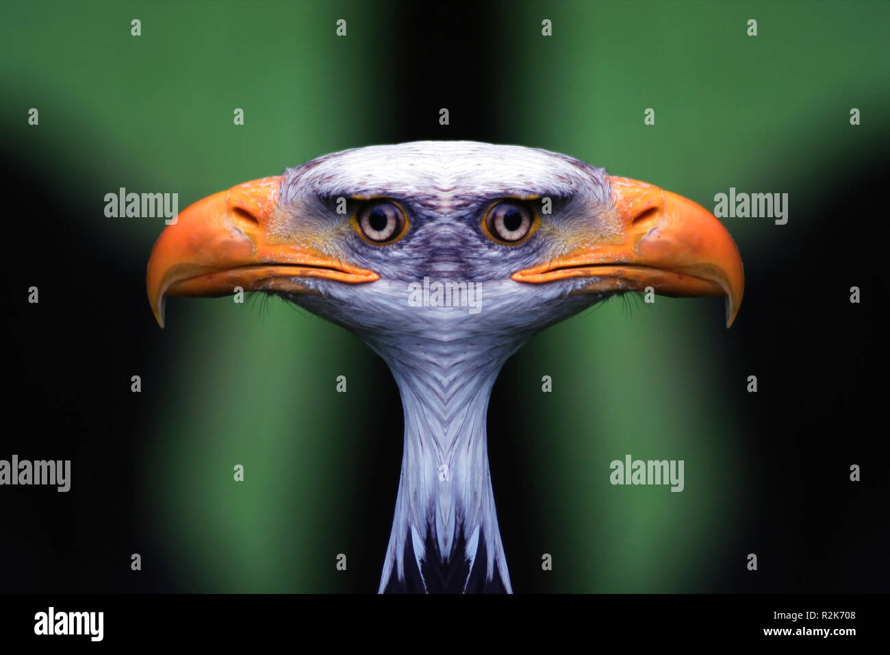 Eagle eye view hi-res stock photography and images - Alamy