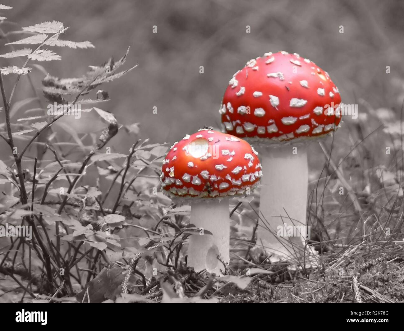 two little man standing in the woods Stock Photo - Alamy