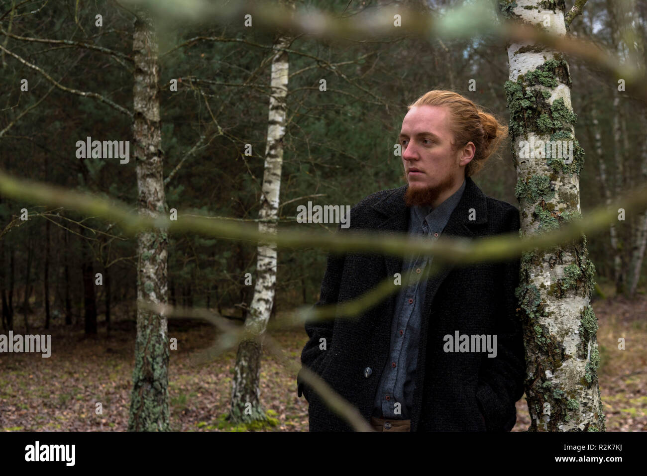 Young man, forest, half portrait Stock Photo - Alamy