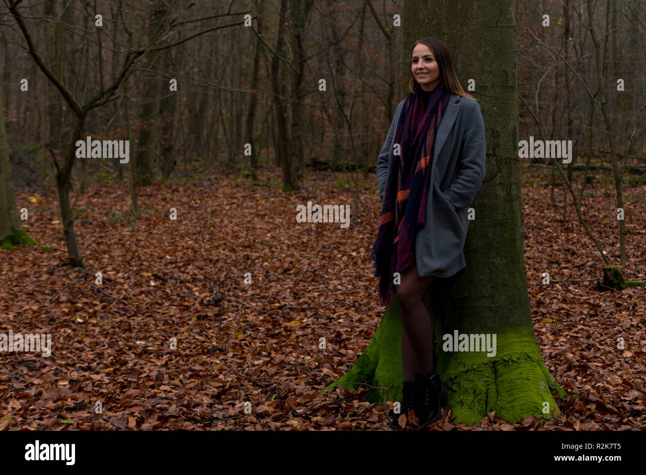 Standing alone tree hi-res stock photography and images - Alamy