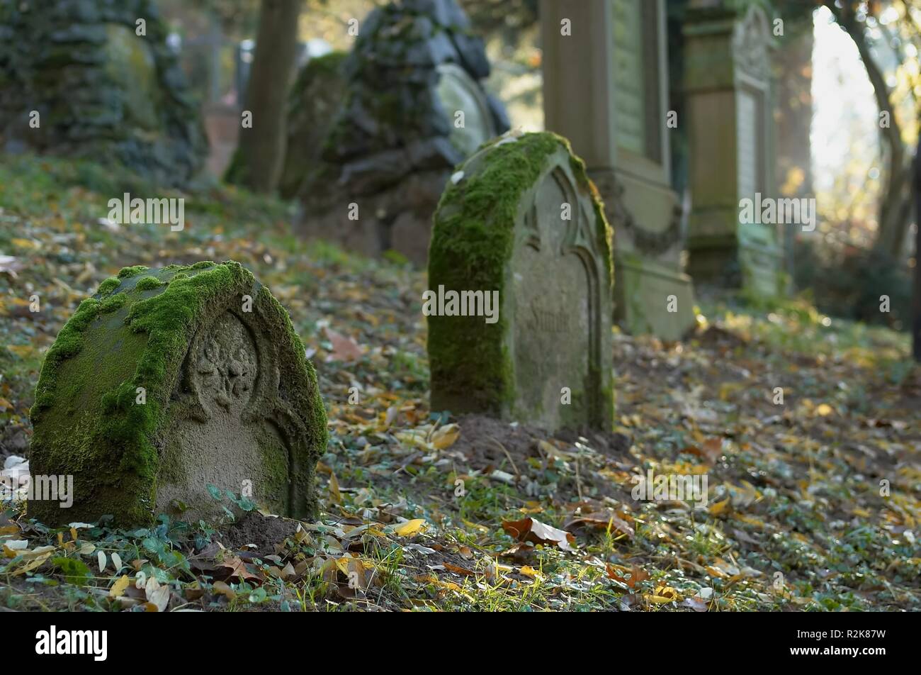 Cemetery gravestone tombstone moss mystic hi-res stock photography and ...
