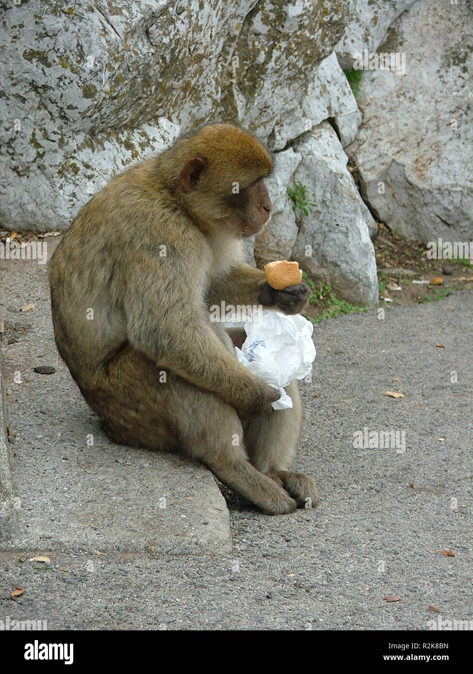 Gibraltar 3 hi-res stock photography and images - Alamy