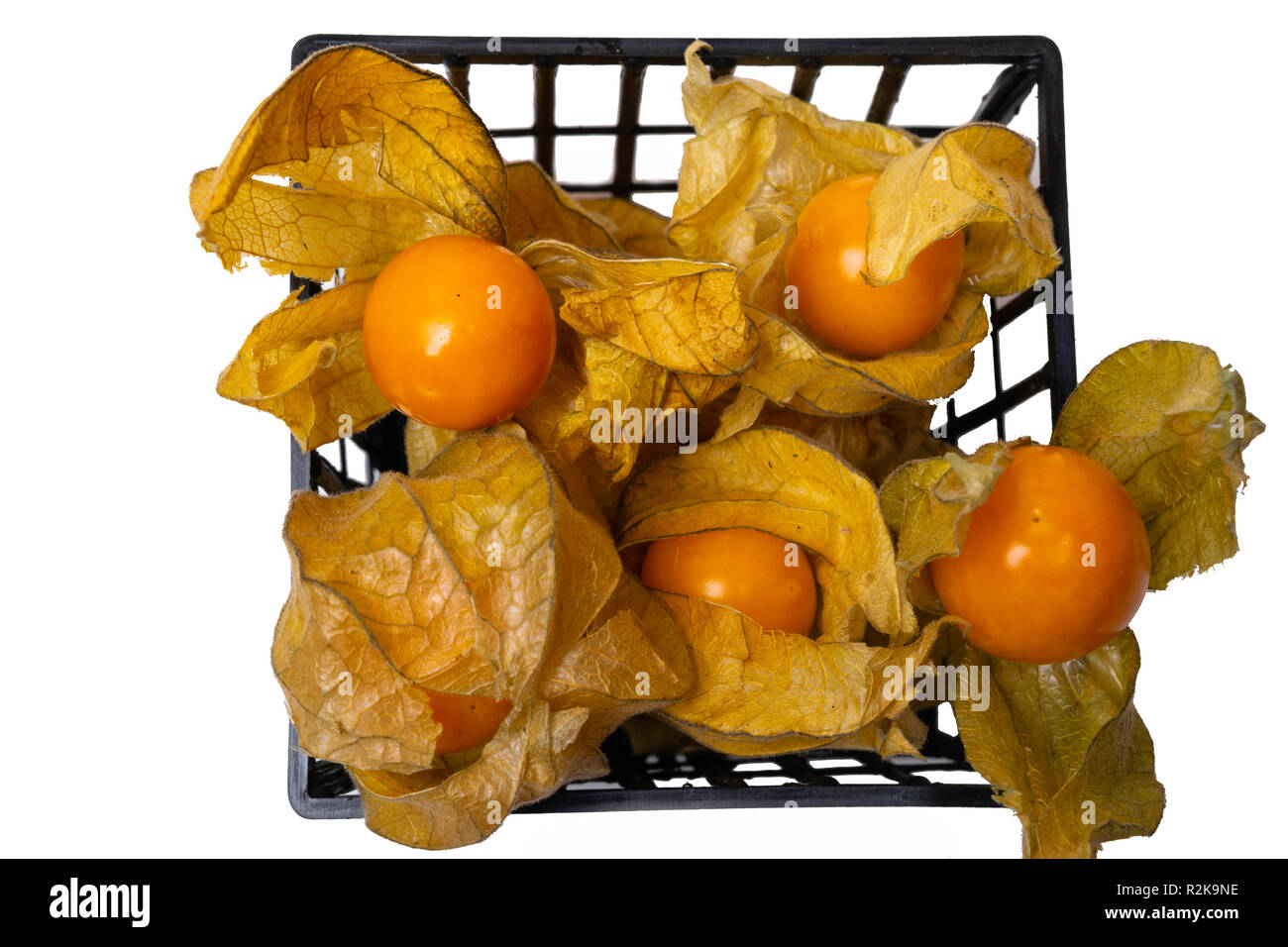 Physalis group closeup isolated on white background in black box basket ...