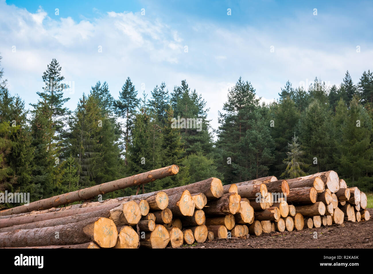Log deforestation forest background hi-res stock photography and images ...