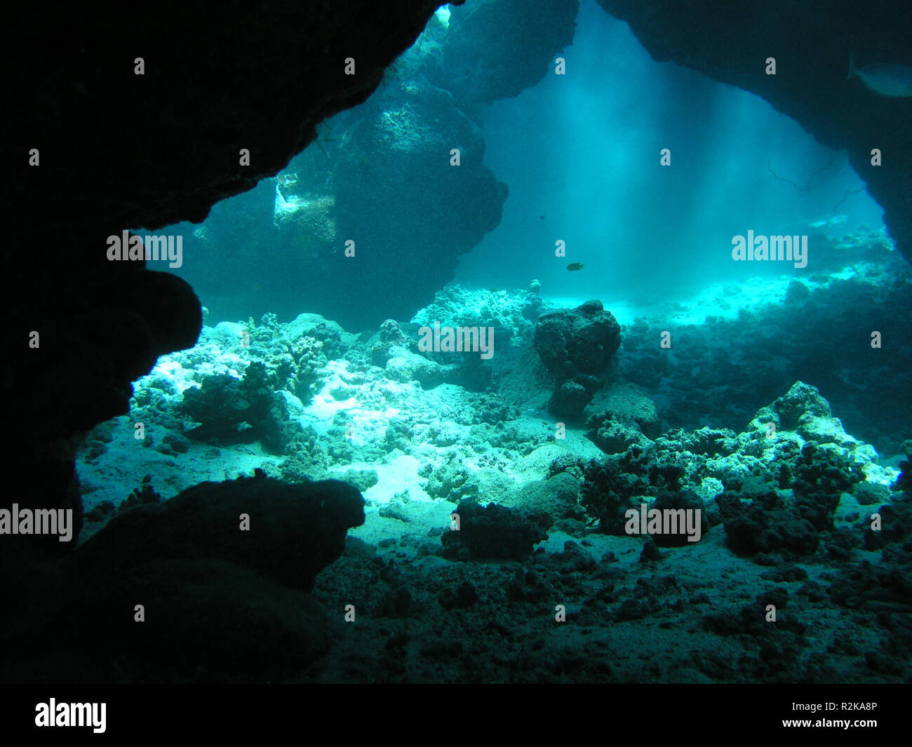 Underwater Grotto High Resolution Stock Photography and Images - Alamy