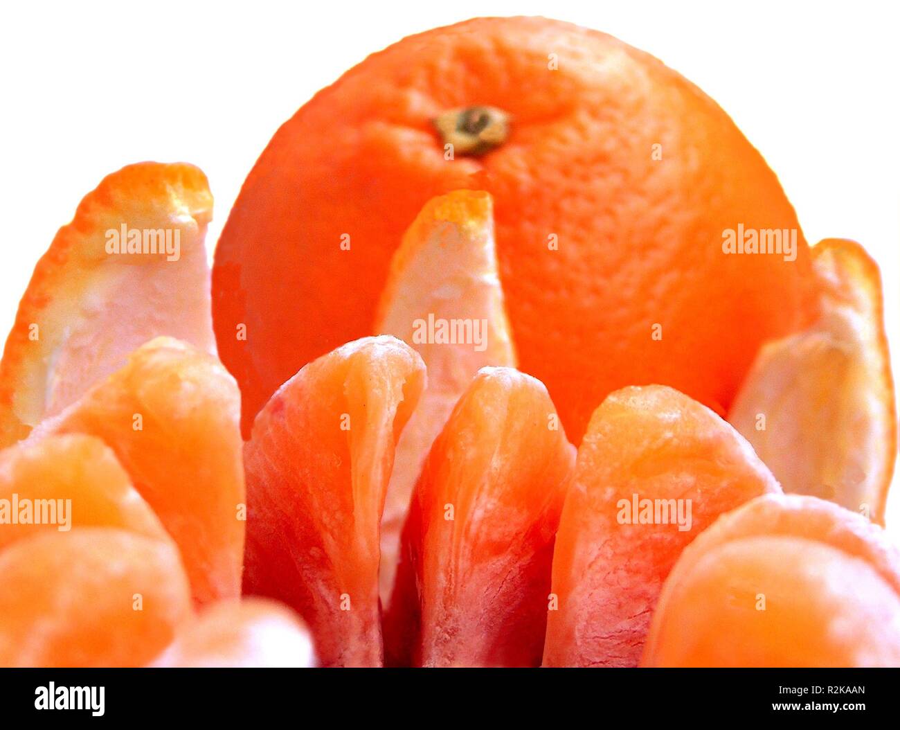 blood orange dissected1 Stock Photo - Alamy