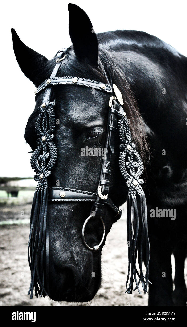 Halter neck hi-res stock photography and images - Alamy