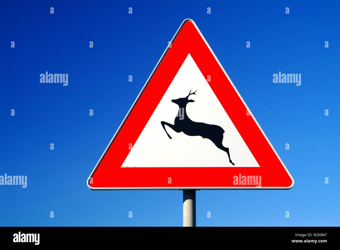 Triangular deer warning sign hi-res stock photography and images - Alamy