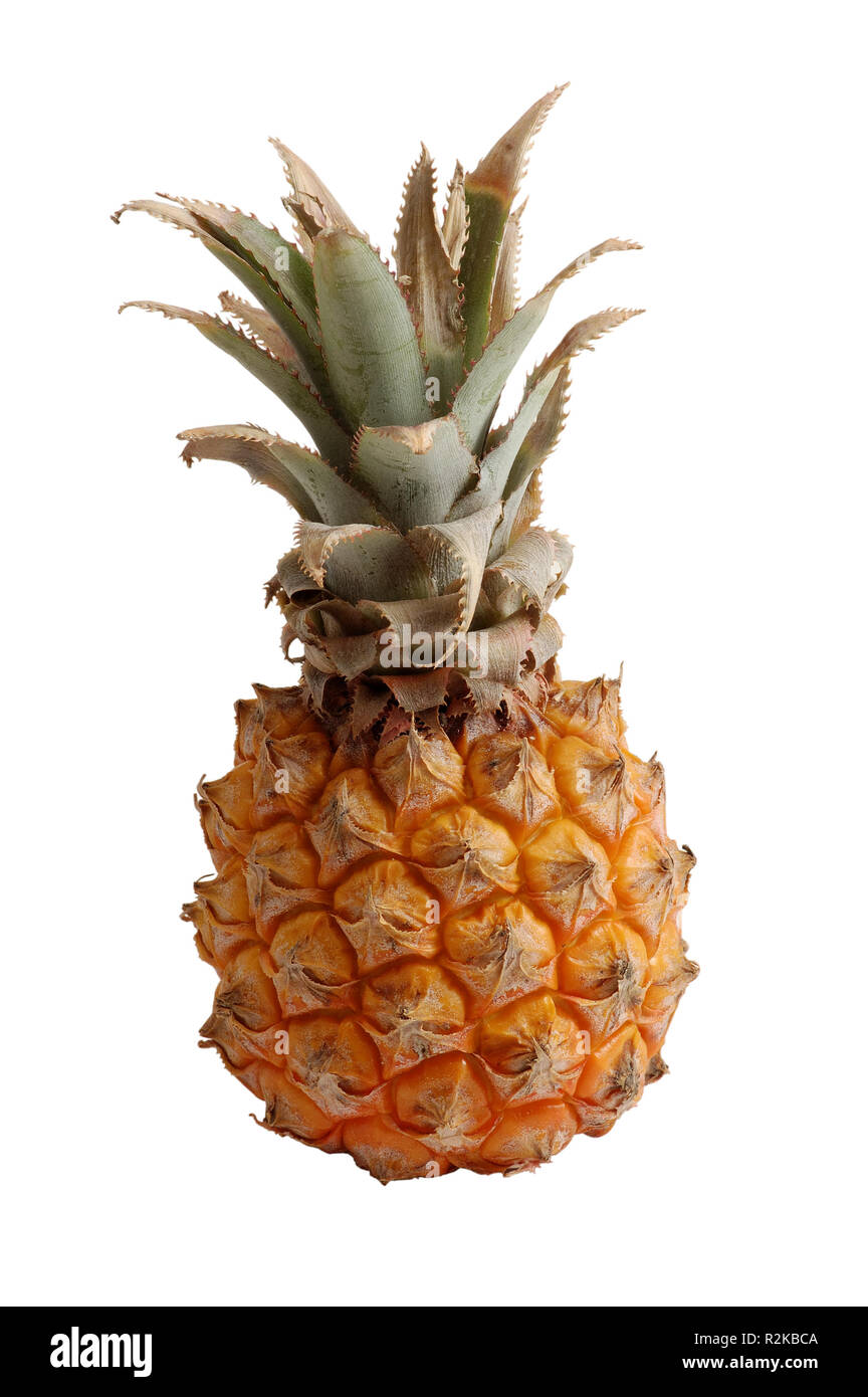 pineapple isolated on white Stock Photo - Alamy