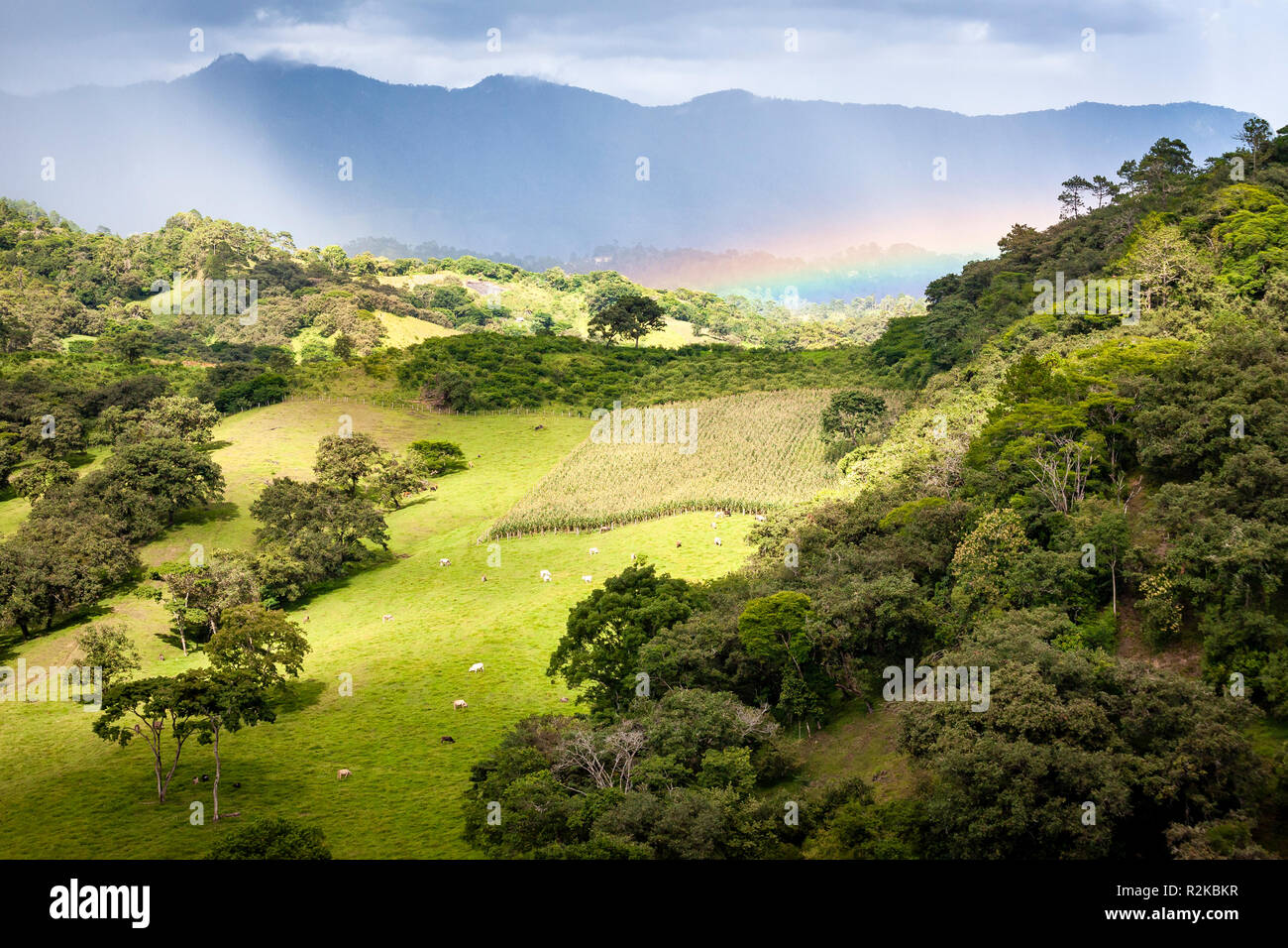View of the lush farmlands of Chiapas, Mexico Stock Photo - Alamy