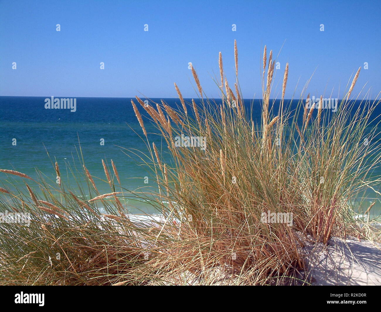 beach of sondervig - dk Stock Photo - Alamy