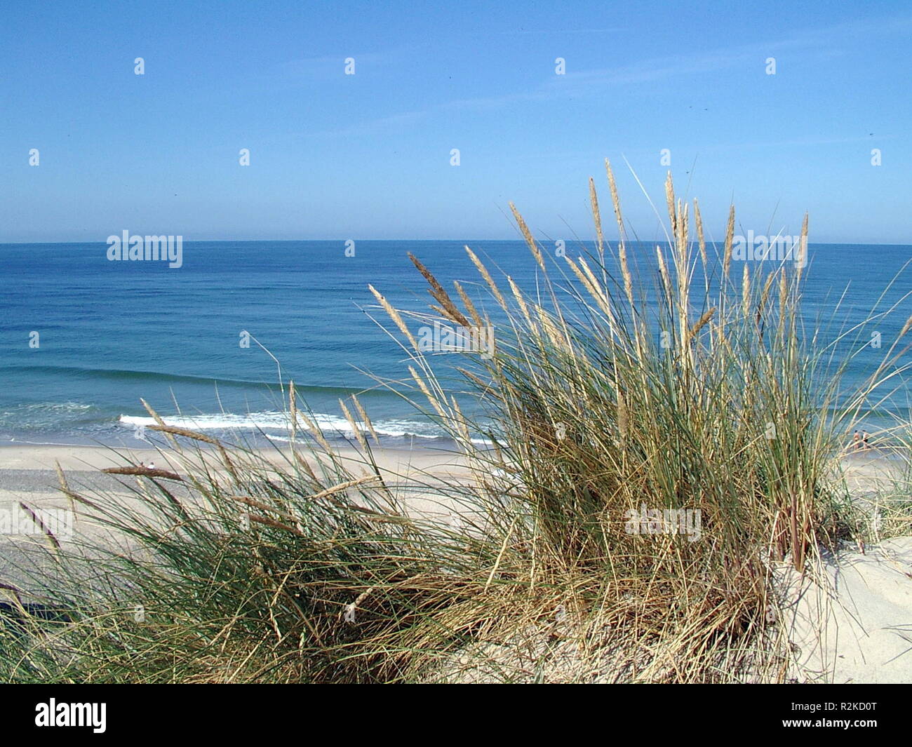 beach of sondervig - dk Stock Photo - Alamy