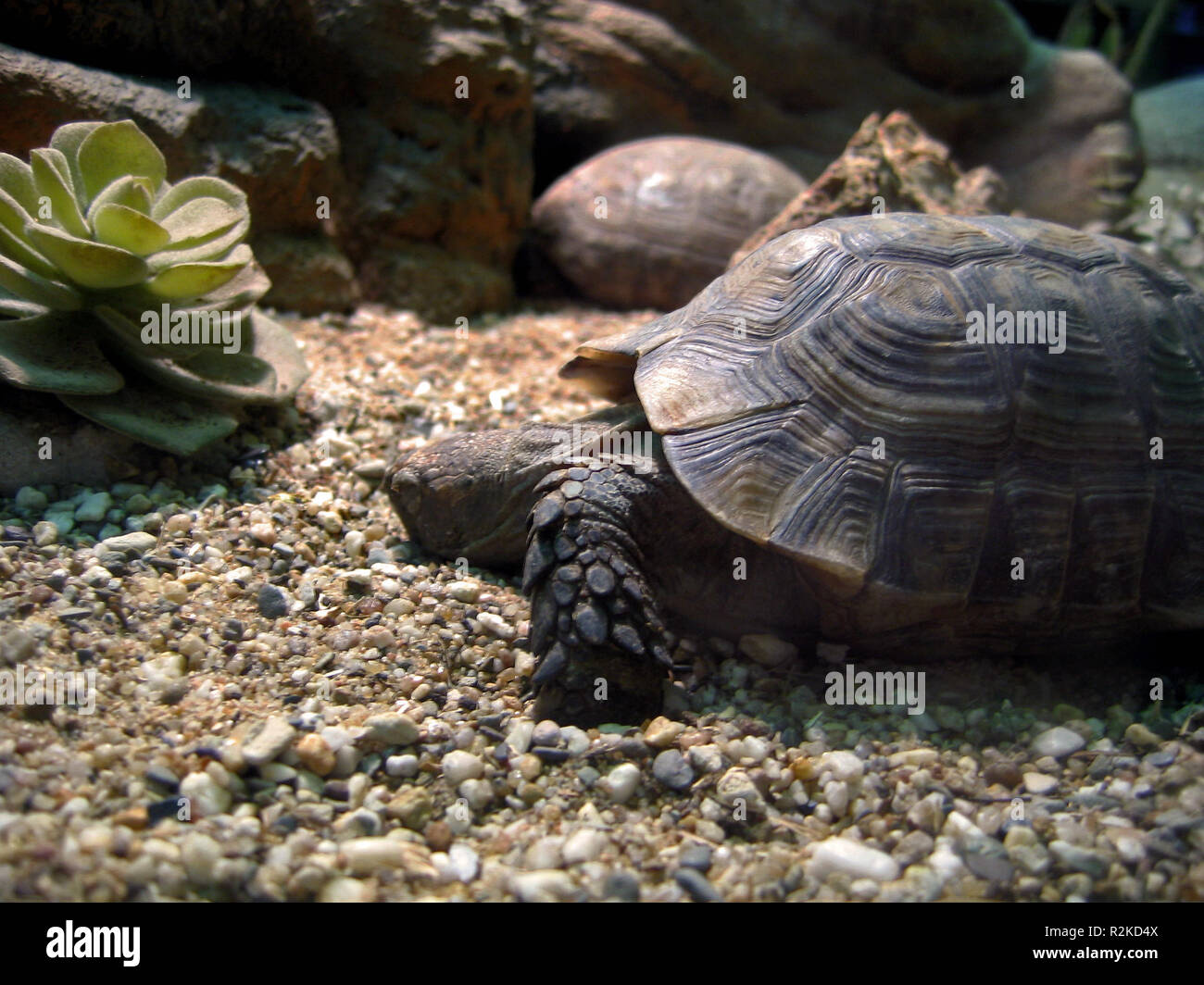 just make ne break Stock Photo - Alamy