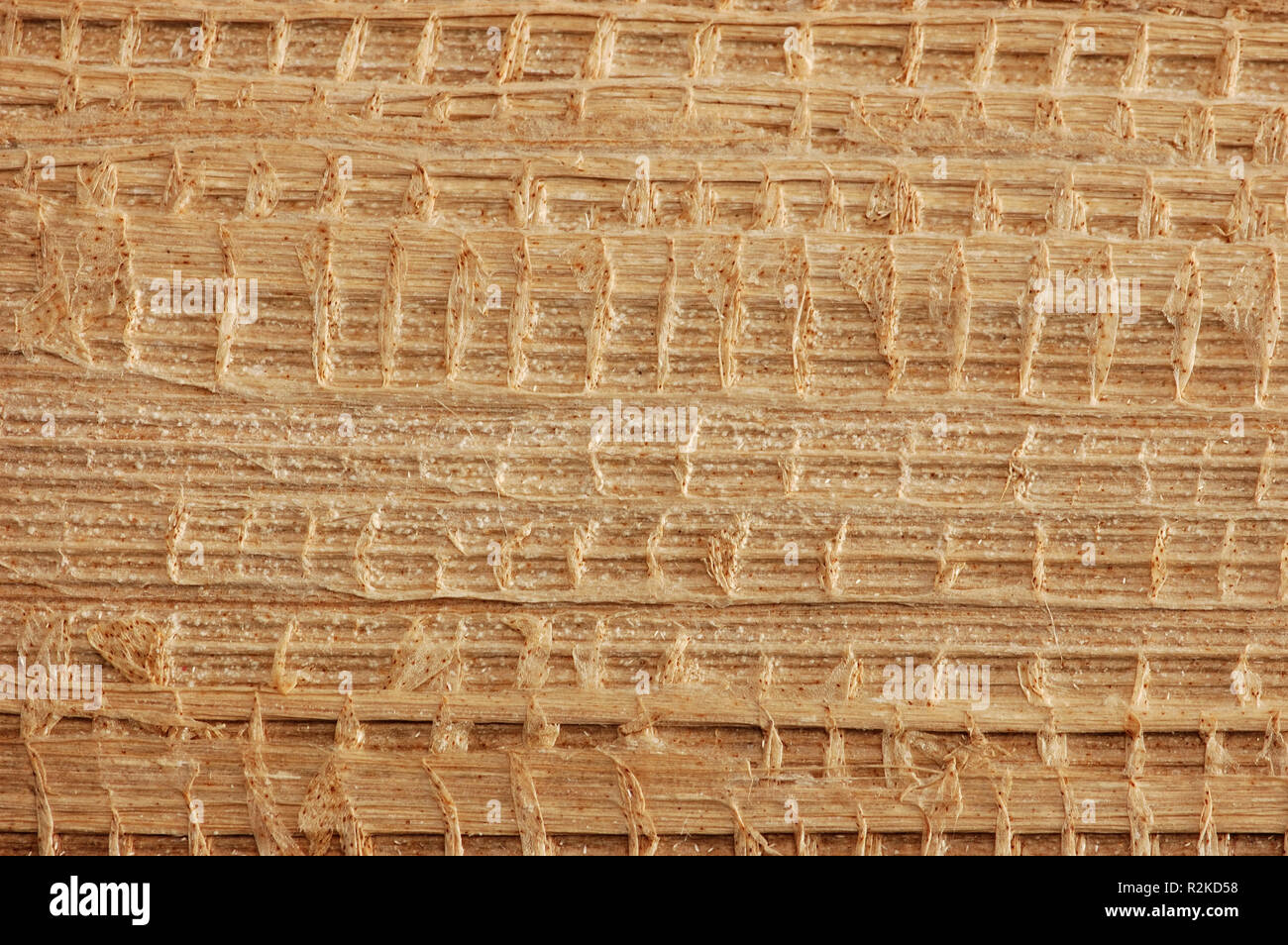 surface of a dried leaf Stock Photo - Alamy