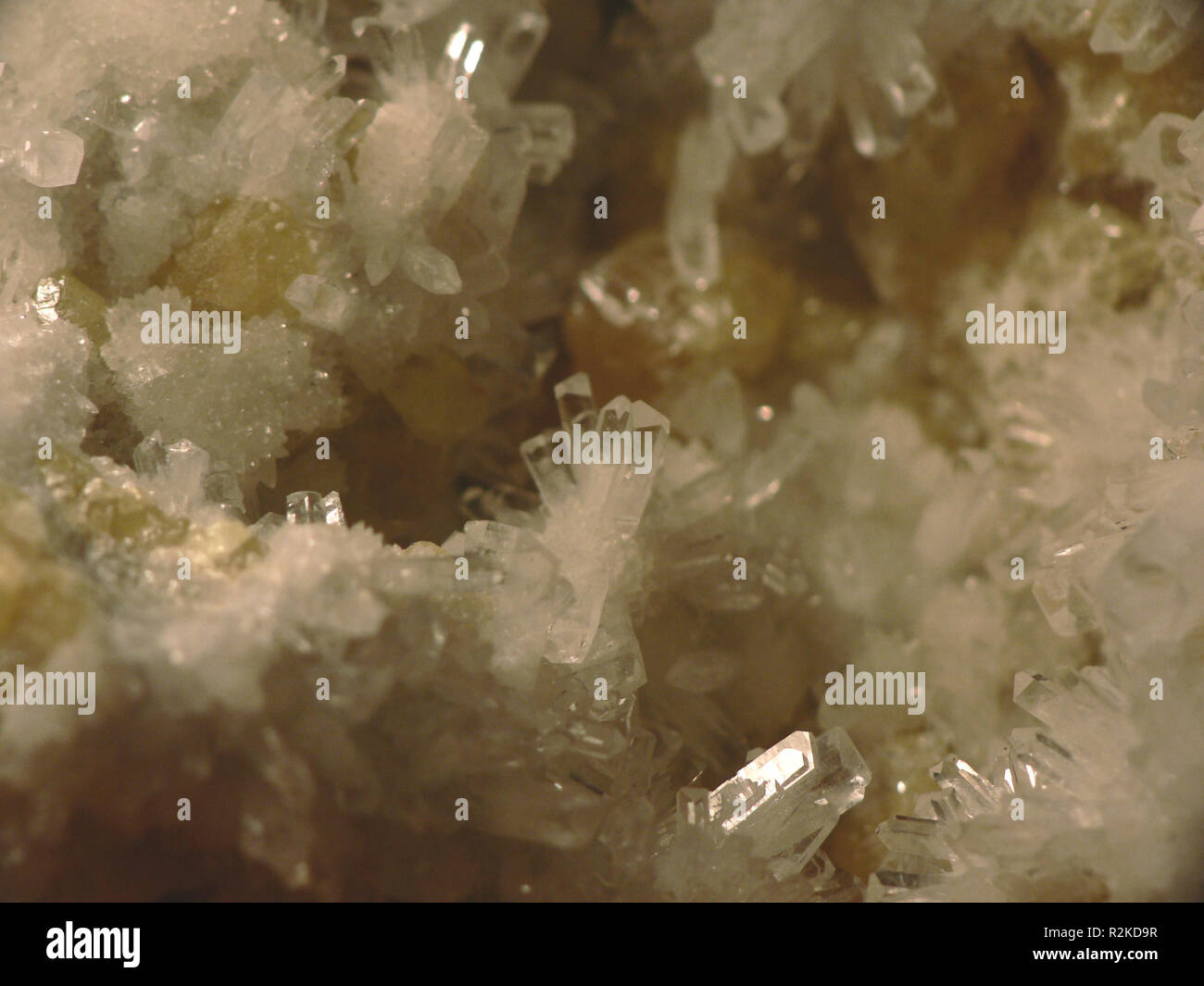 Rhombic sulphur hi-res stock photography and images - Alamy